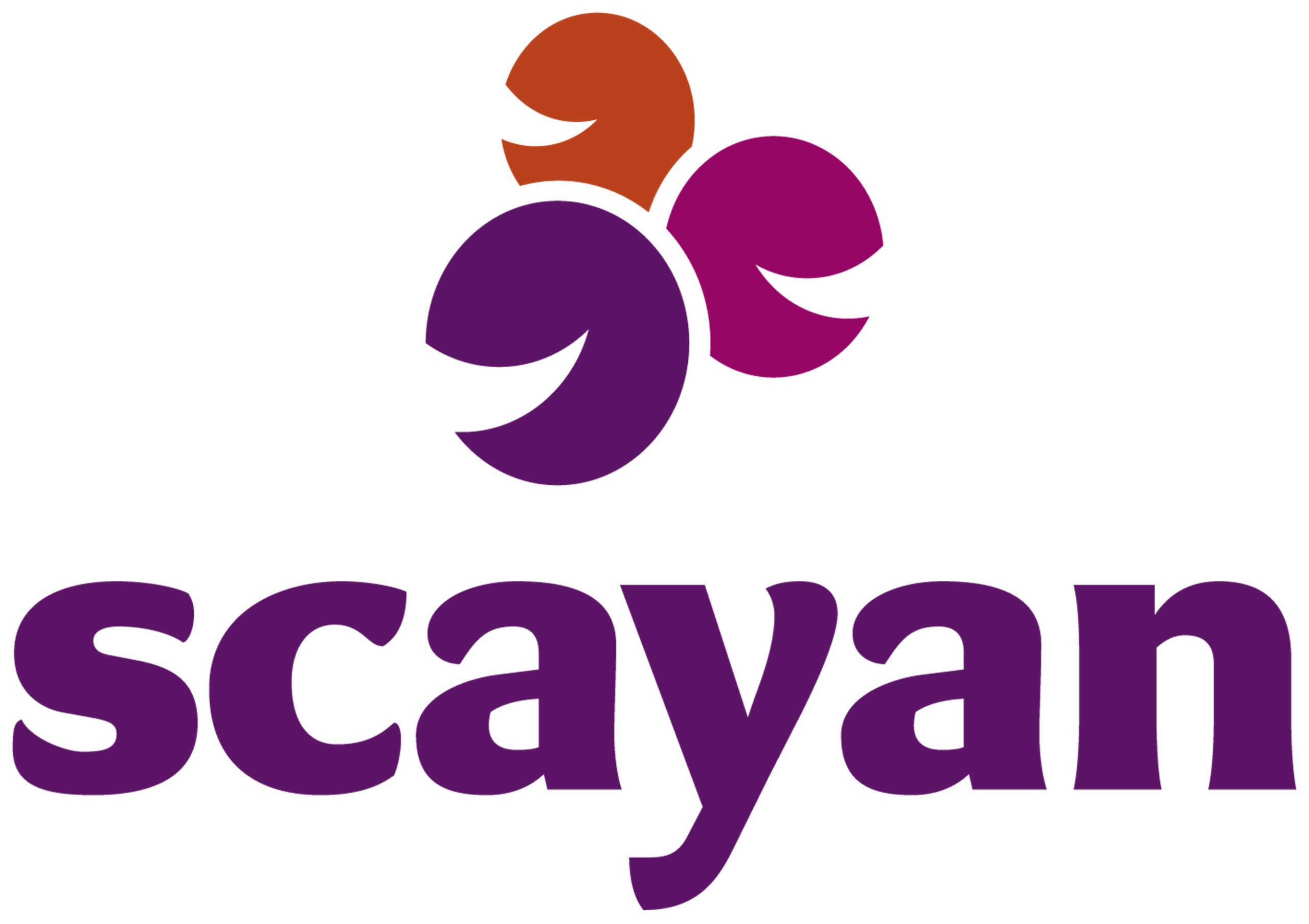 Scayan – EUPD Group